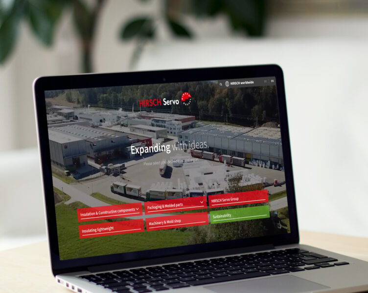 EPS Processing and Technology | HIRSCH Servo